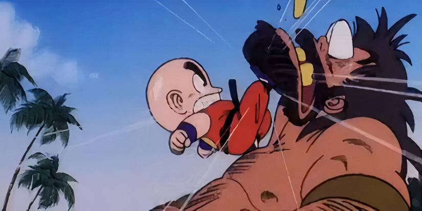 Every Martial Artist Who Fought in DBZ's World Tournaments