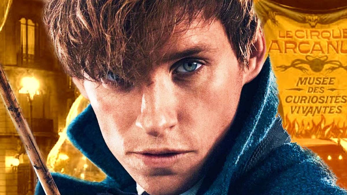 Fantastic Beasts Star Addresses Harry Potter Spinoff's Future
