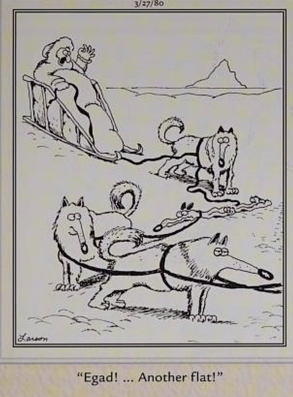 15 Best The Far Side Comics Featuring Dogs