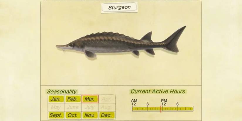 How to Catch All Fish in Animal Crossing: New Horizons