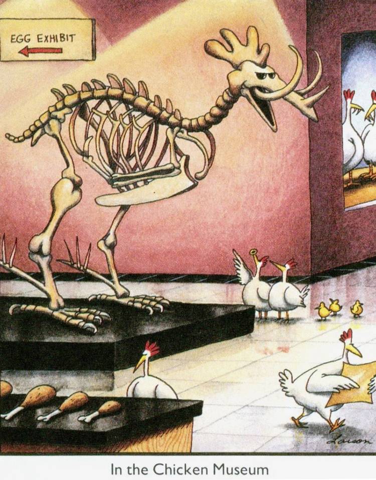 15 Funniest The Far Side Comics Featuring Chickens, Ranked