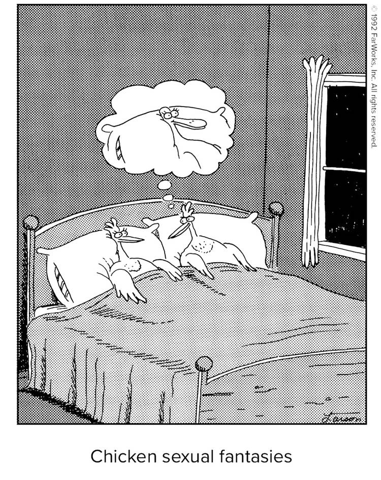 15 Funniest The Far Side Comics Featuring Chickens, Ranked
