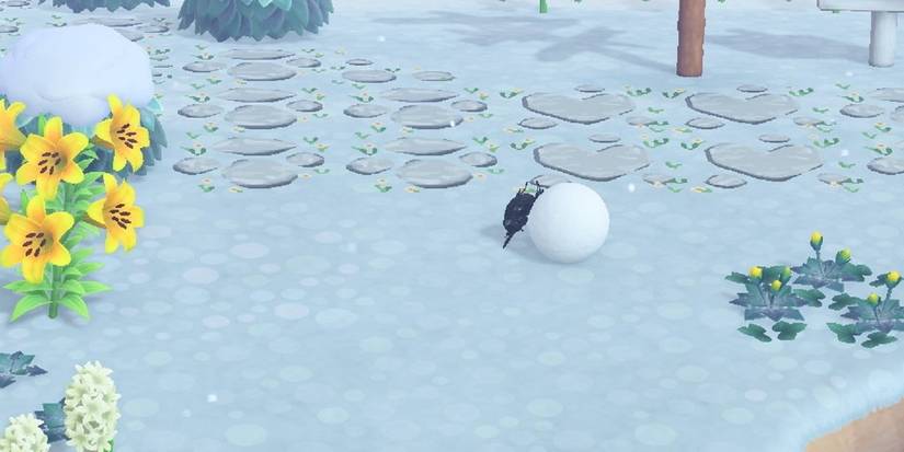 How to Catch Bugs in ACNH