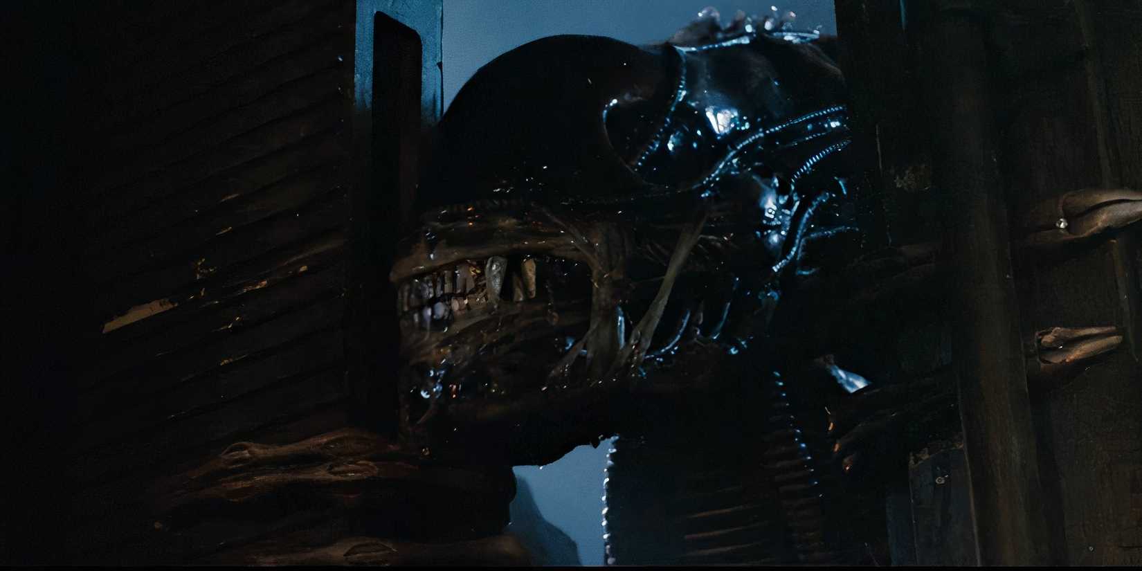 Alien: Romulus' Biggest Easter Eggs & Cameos