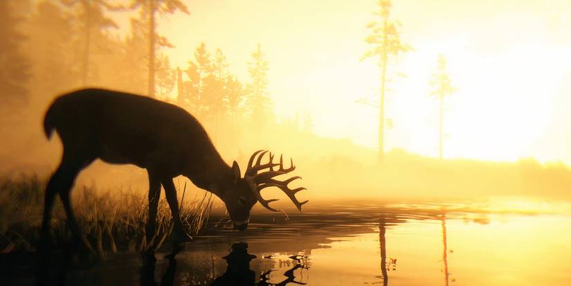 What Do the Wolf Dreams Mean in Red Dead Redemption 2?