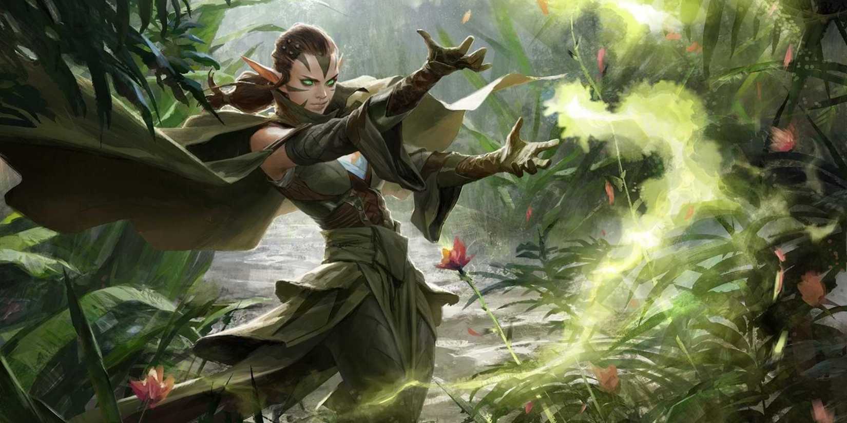 10 Biggest Druid Class Changes in D&D 5e 2024