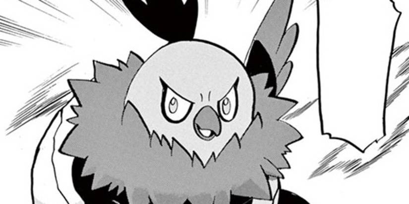 Black and White’s Most Iconic Pokémon in Pokémon Adventures, Ranked