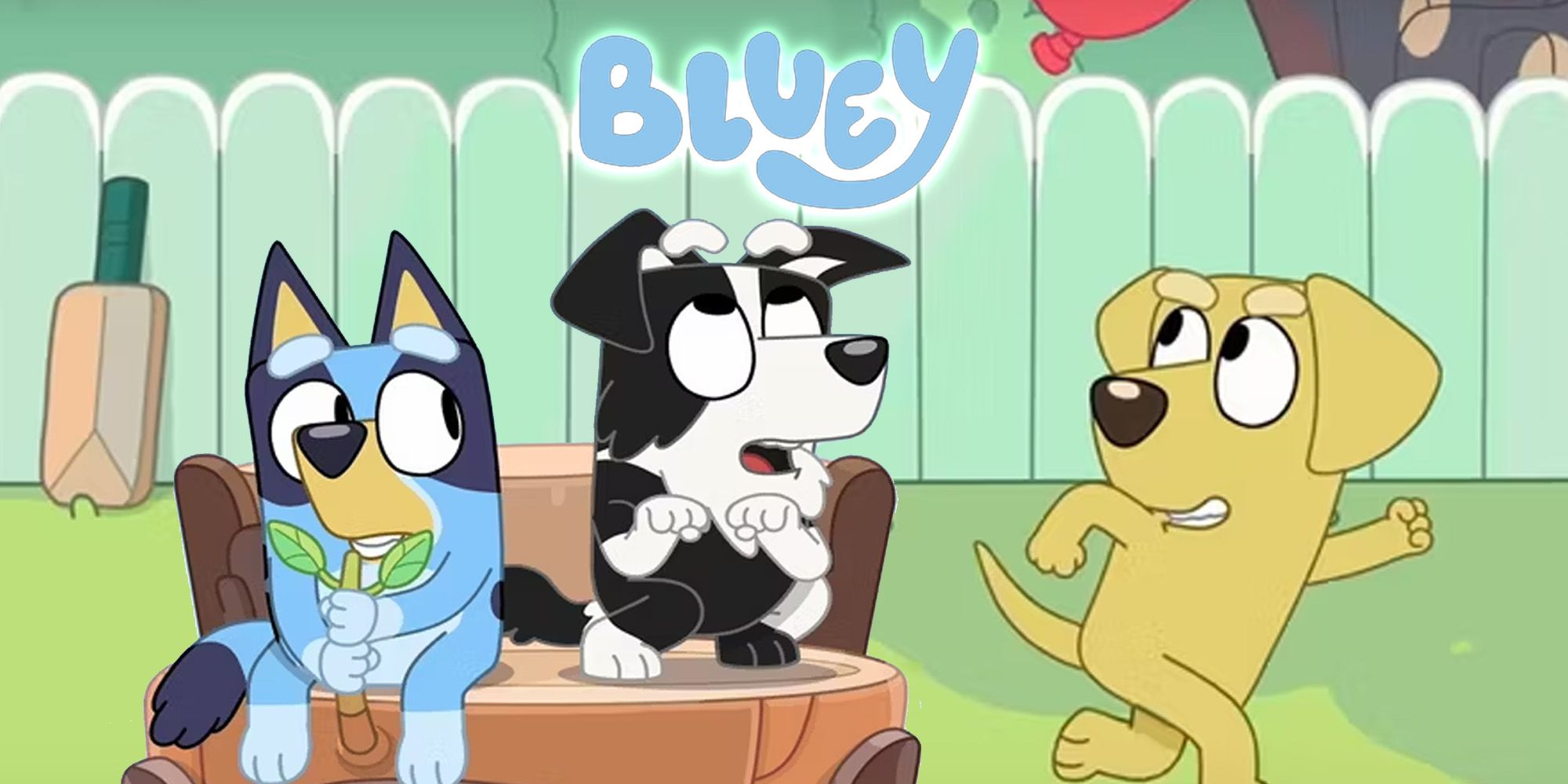 Bluey | CBR