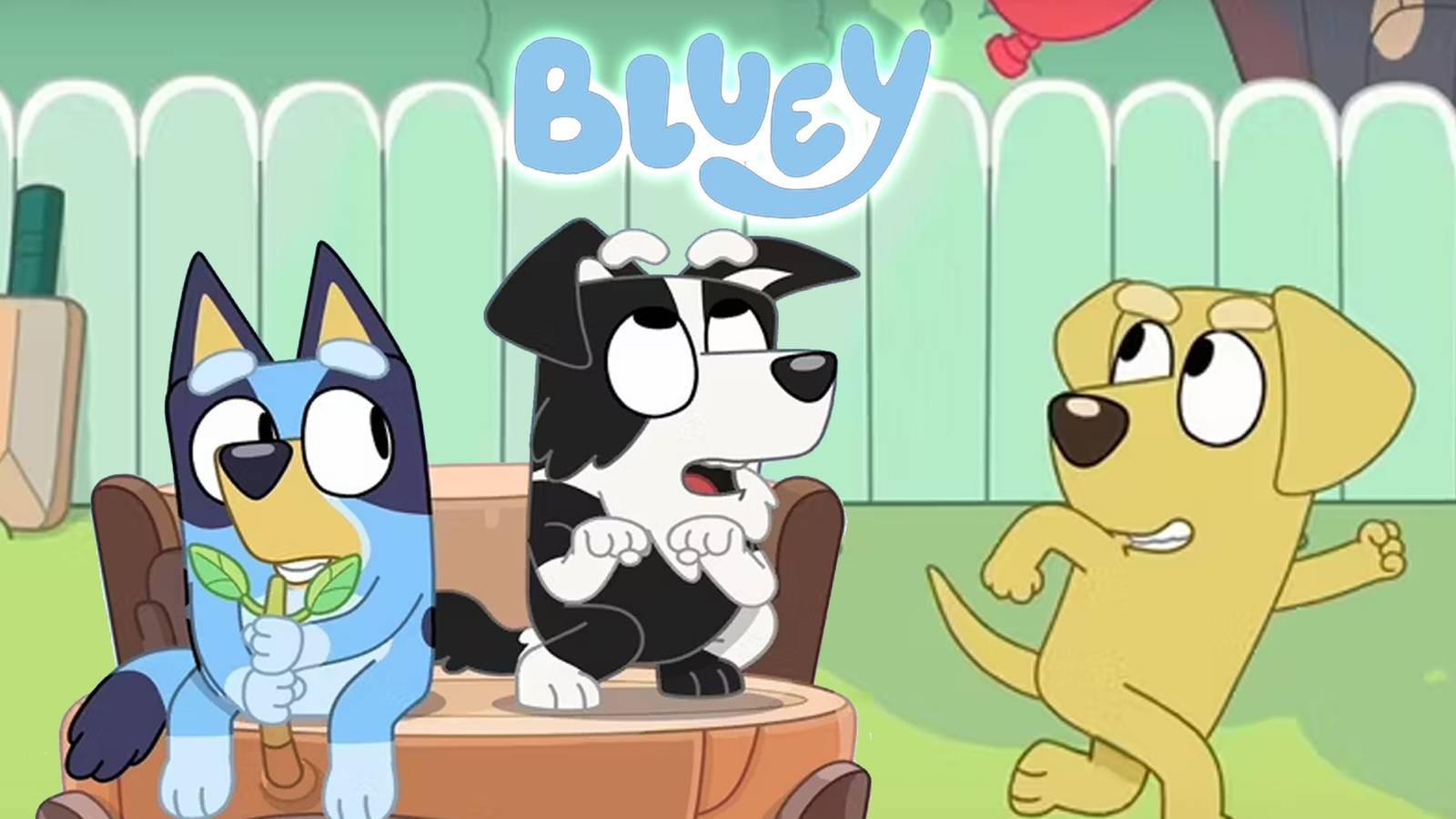 Ranking Bluey's Best Characters