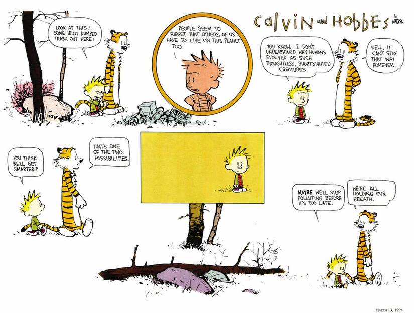 15 Best Calvin and Hobbes Comics About the Environment, Ranked