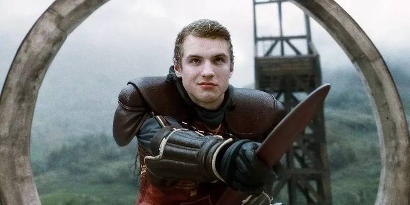Every Quidditch Game Harry Played in Harry Potter, Ranked
