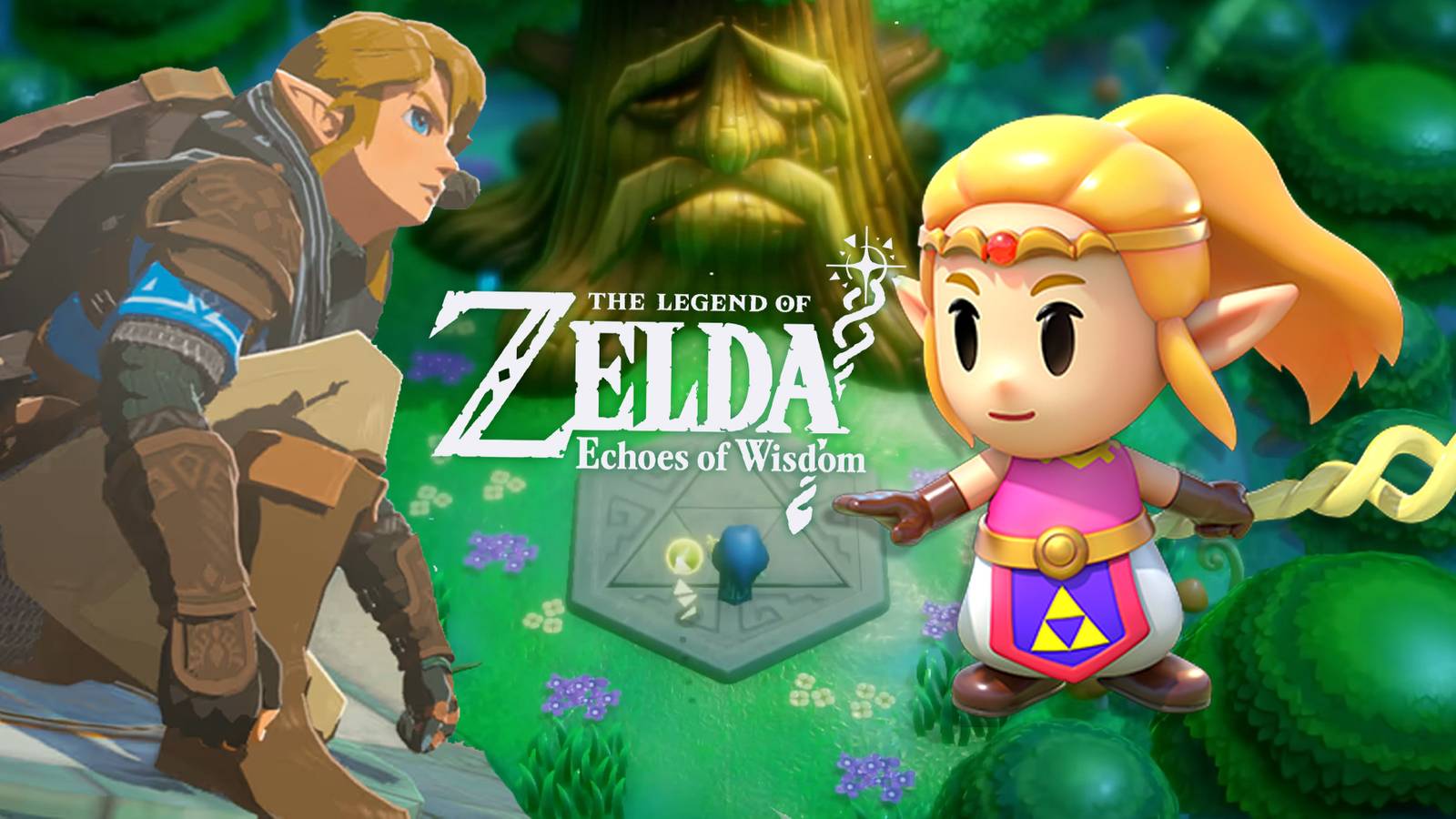 Lessons Zelda's Next Game Should Learn from Echoes of Wisdom