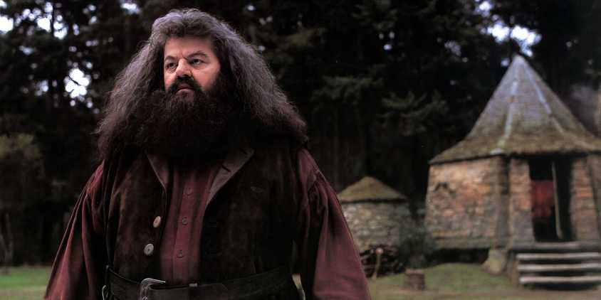 HBO's First Look at Nick Frost as Hagrid Has Me Convinced I Was Wrong ...