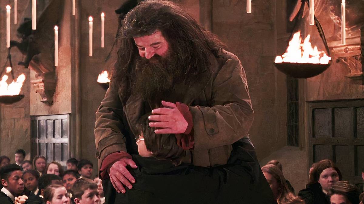 Harry Potter’s Big Hagrid Secret Makes Way More Sense 19 Years Later