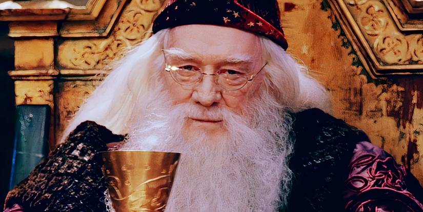1 of Lord of the Rings' Greatest Casting Decisions Left a Harry Potter ...