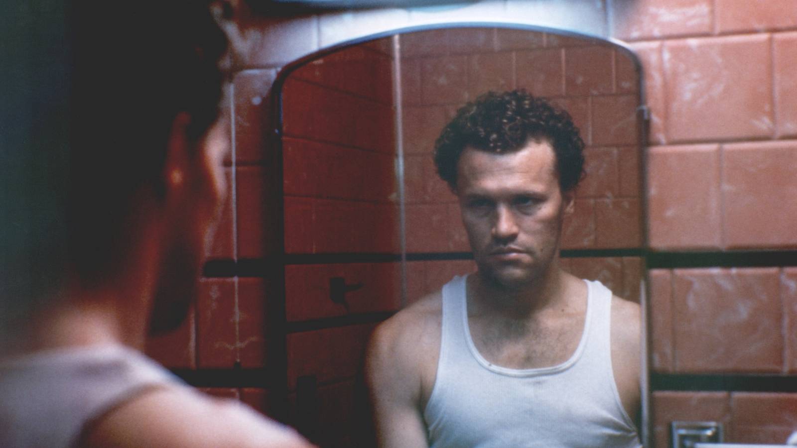 What DC Comic Appeared in the Film, Henry: Portrait of a Serial Killer?