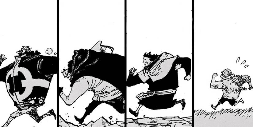 10 Best One Piece Character's Backstories, Ranked
