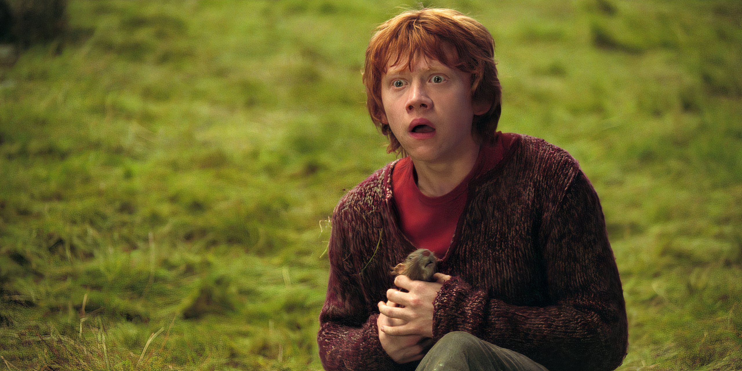 A Dark Harry Potter Theory Completely Ruins Ron & Hermione's ...