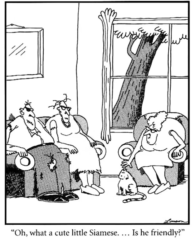 20 Best The Far Side Comics About Cats
