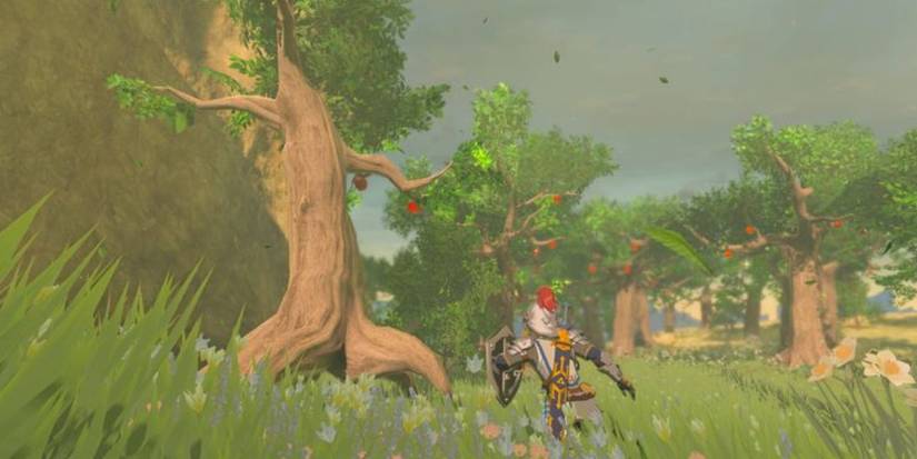 15 Coolest Zelda: Tears of the Kingdom Enemies (That Aren’t Bosses)