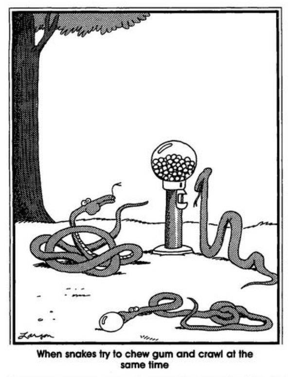 10 Funniest The Far Side Comics Featuring Snakes, Ranked