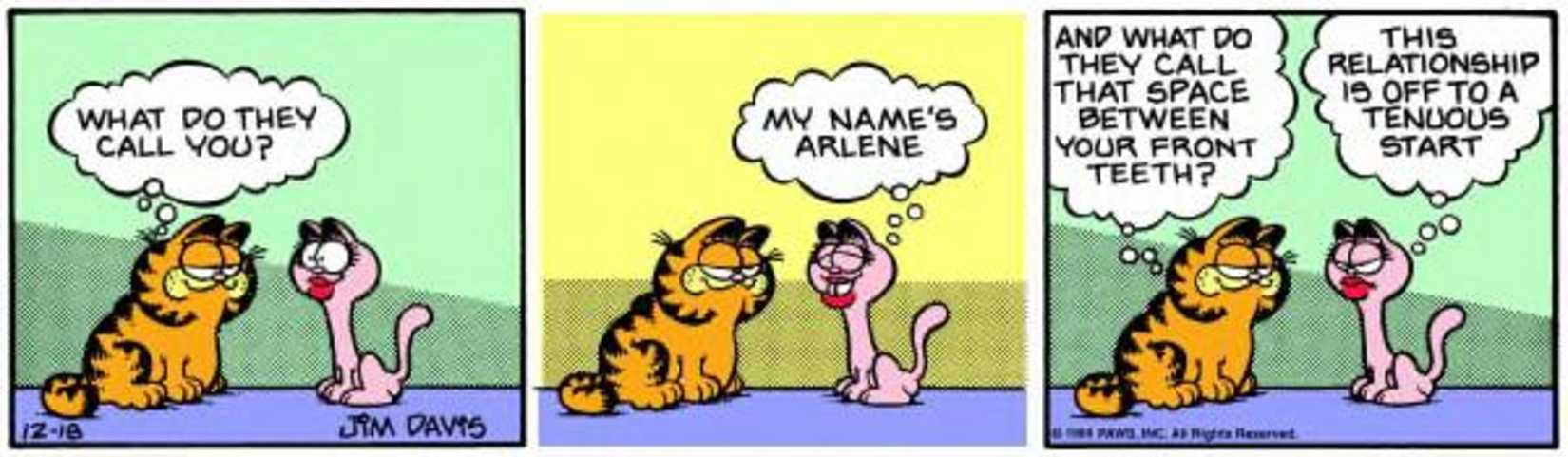 10 Best Garfield Comic Strips Featuring Arlene, Ranked
