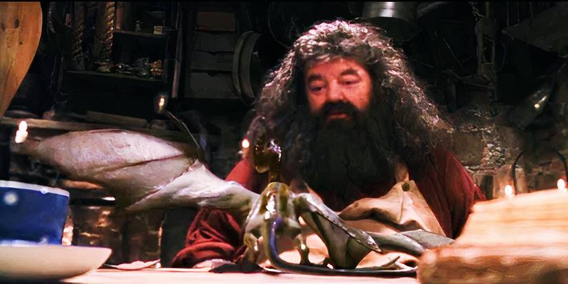 15 Best Hagrid Quotes In Harry Potter