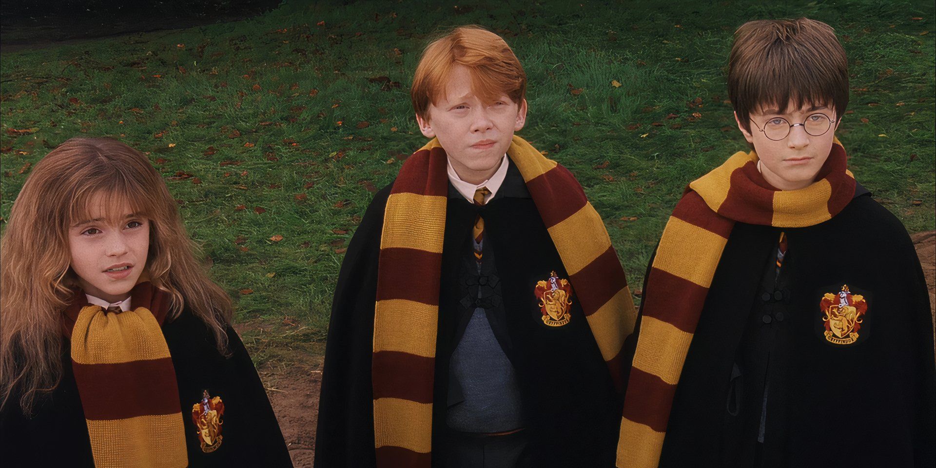 Harry Potter and the Sorcerer's Stone Is Still the Closest Thing to a ...