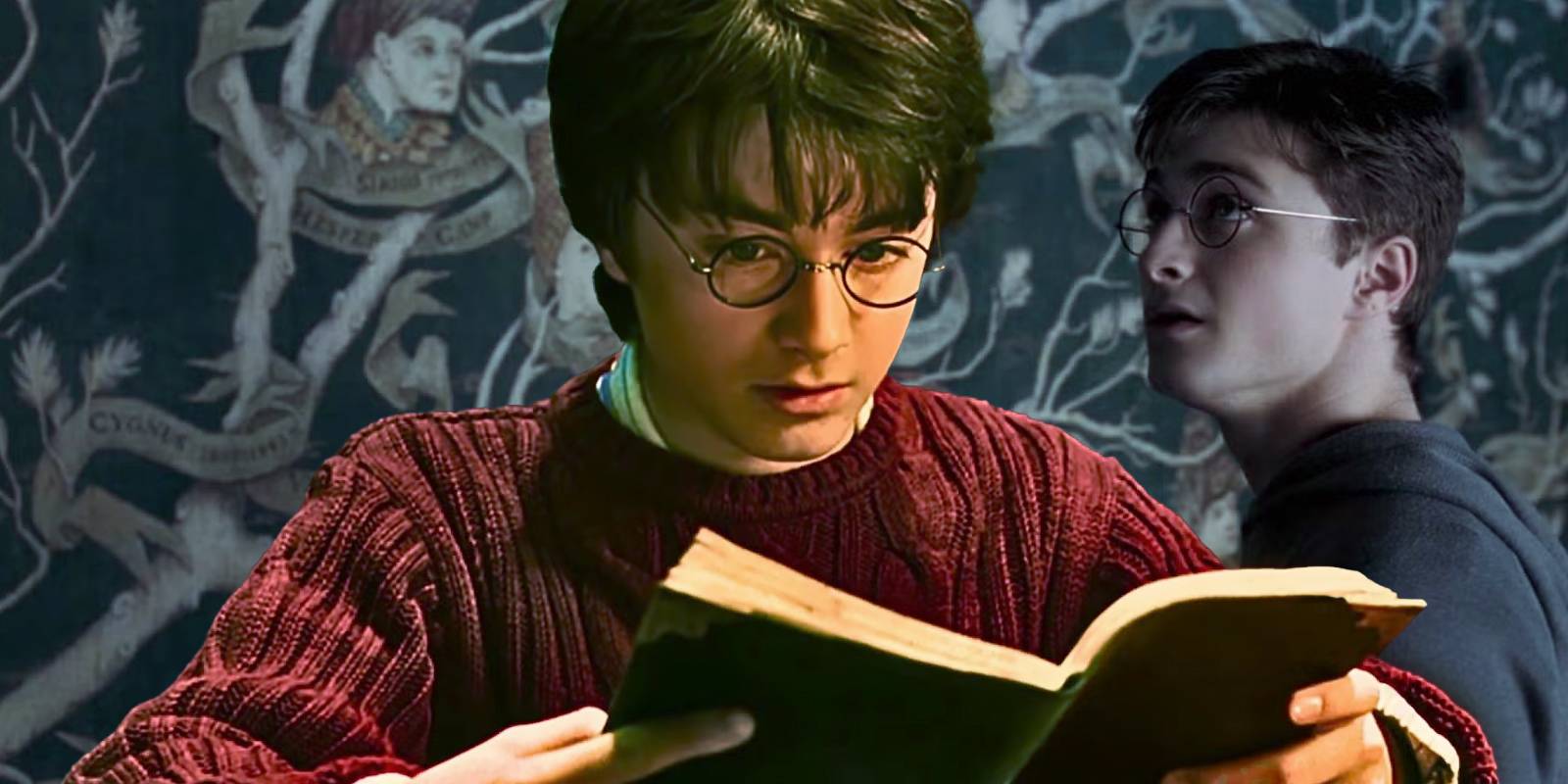 Harry Potter Nearly All Main Characters Family Tree