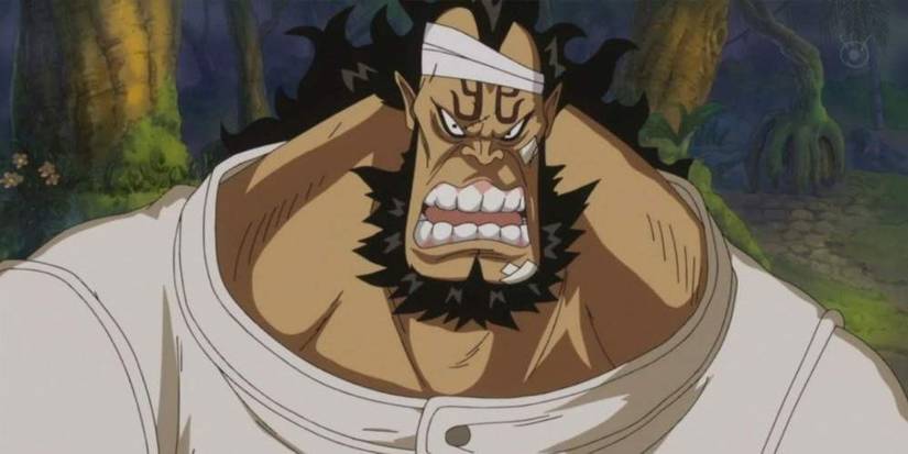 One Piece Characters Based On Historical Figures
