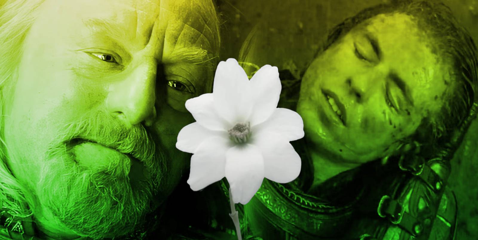 What Was the Significance of the White Flowers in The Lord of the Rings?