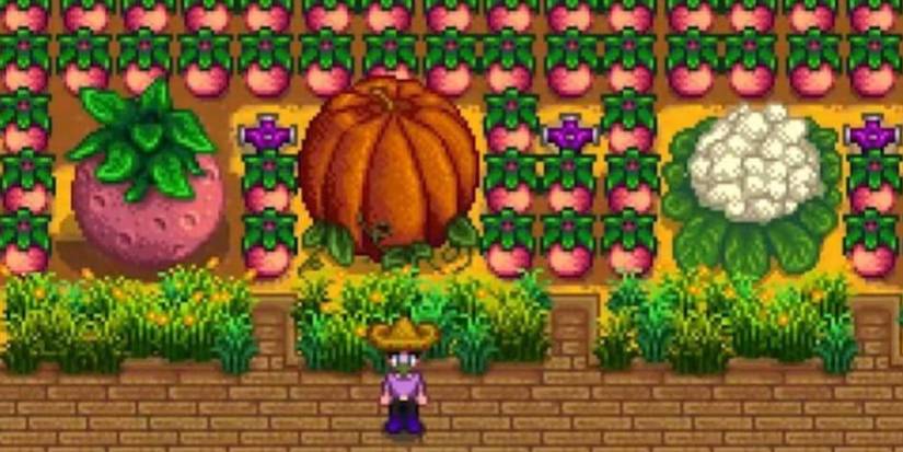Stardew Valley's Most Useful Exploit Lets Players Generate Unlimited ...