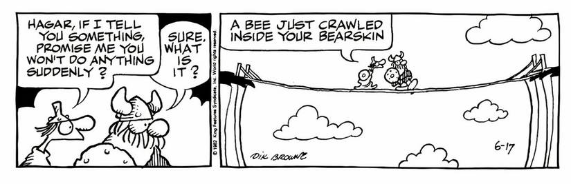 10 Funniest Hagar the Horrible Comics, Ranked