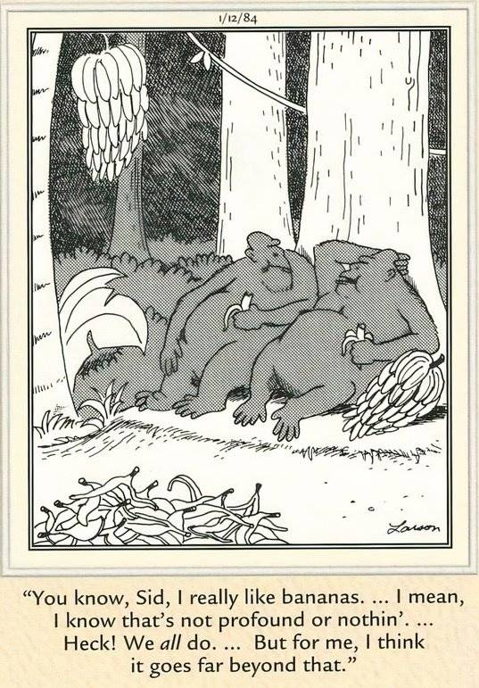 10 Best The Far Side Quotes