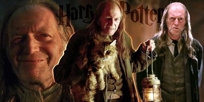 10 Best Peeves Scenes in the Harry Potter Books That Fans Want to See ...