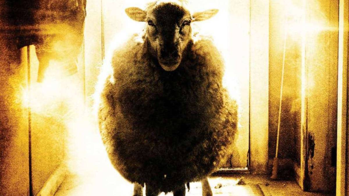 Cult Classic Horror-Comedy About Killer Sheep Is Getting a Sequel 18 ...