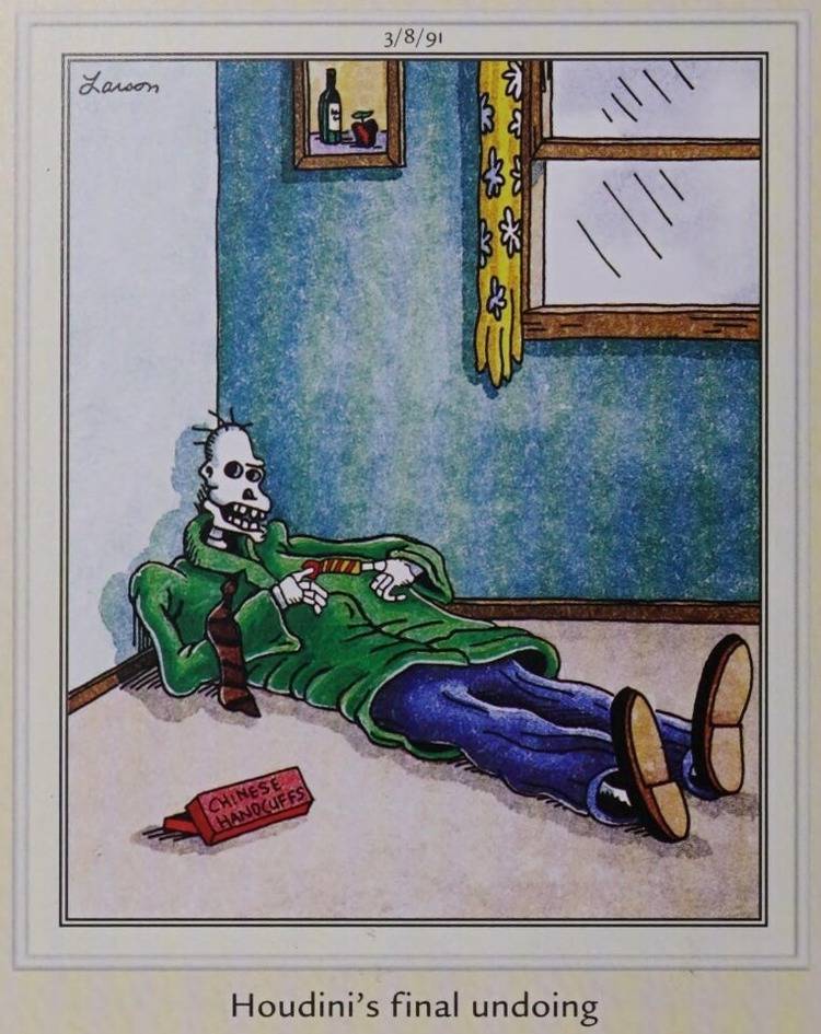 10 Best The Far Side Comics Featuring Skeletons, Ranked