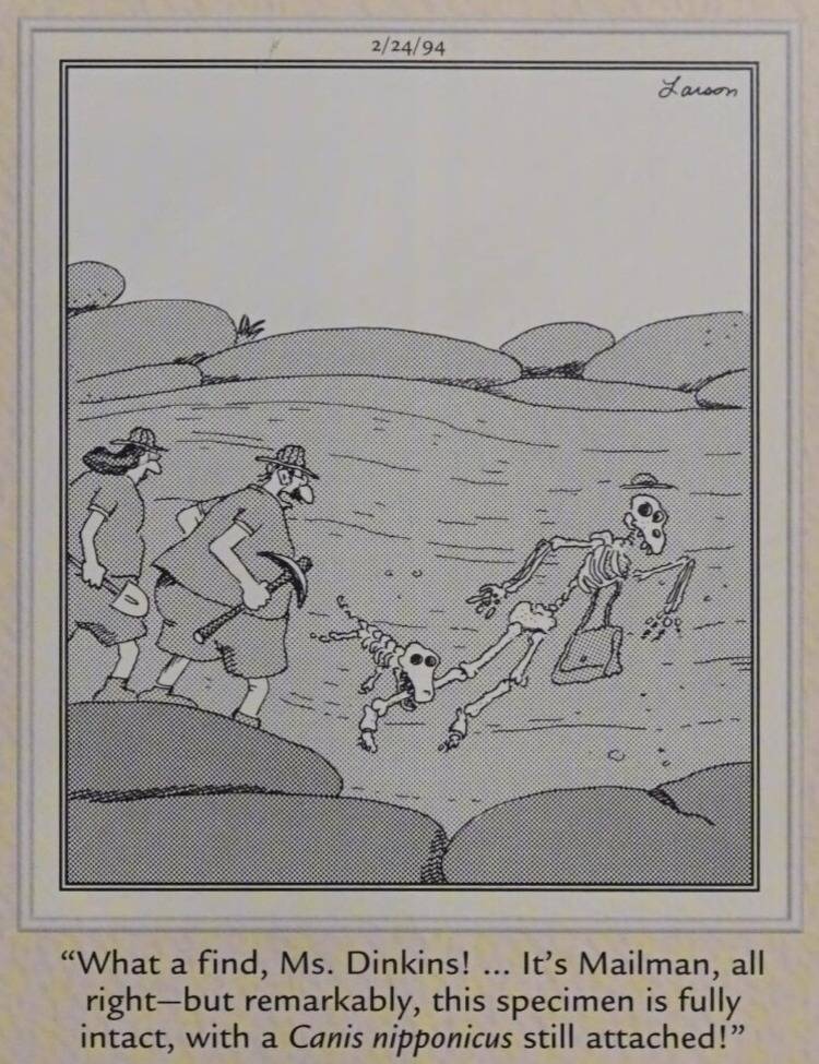10 Best The Far Side Comics Featuring Skeletons