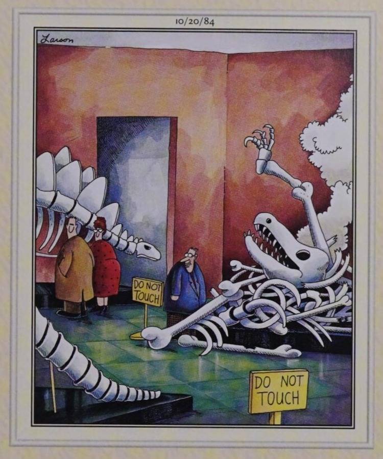 10 Best The Far Side Comics Featuring Skeletons, Ranked