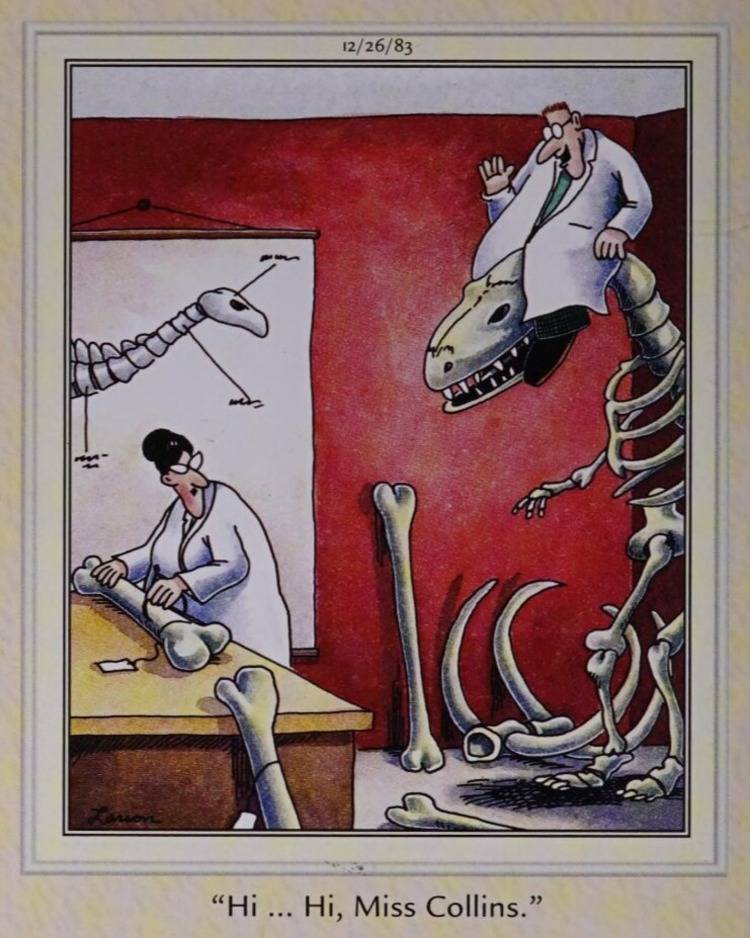 10 Best The Far Side Comics Featuring Skeletons