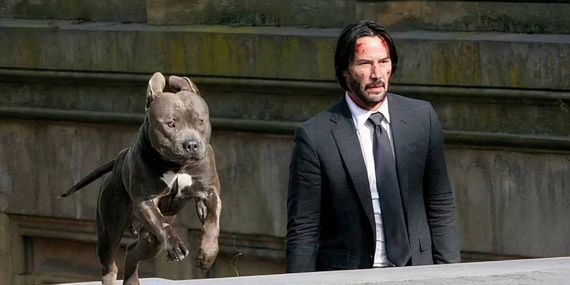 The Most Popular Part of John Wick Is the Franchise’s Biggest Weakness