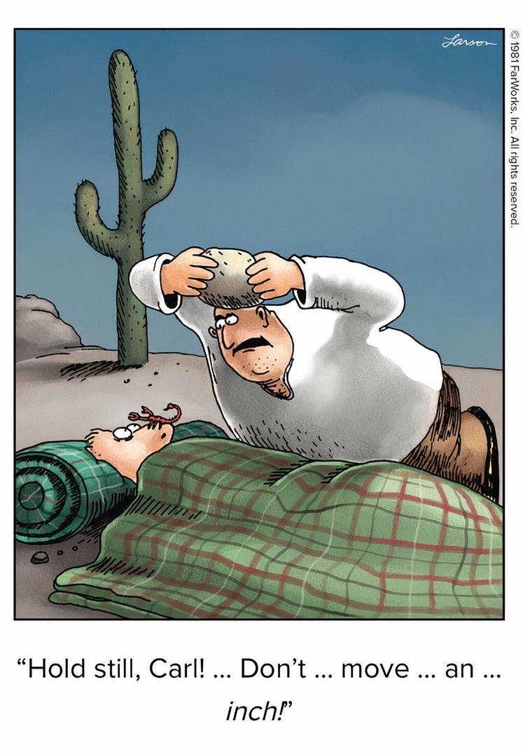 anatidaephobia comic