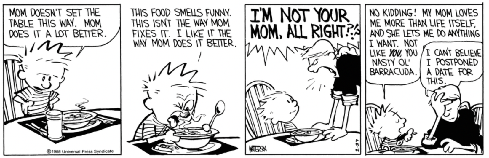 10 Best Calvin and Hobbes Comics Featuring Rosalyn, Ranked