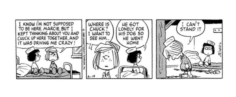 10 Best Peppermint Patty & Marcie Comic Strips, Ranked