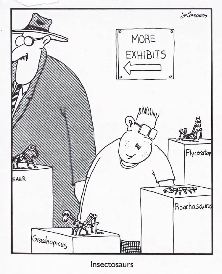 10 Best The Far Side Comics Featuring Insects, Ranked