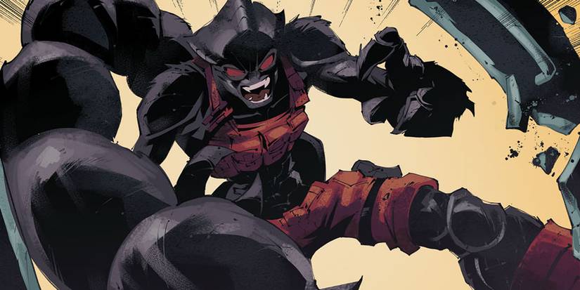 15 Best Fighters in IDW's TMNT Universe, Ranked
