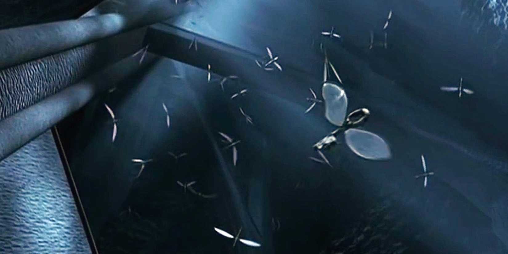 Every Protector of The Sorcerer's Stone in Harry Potter