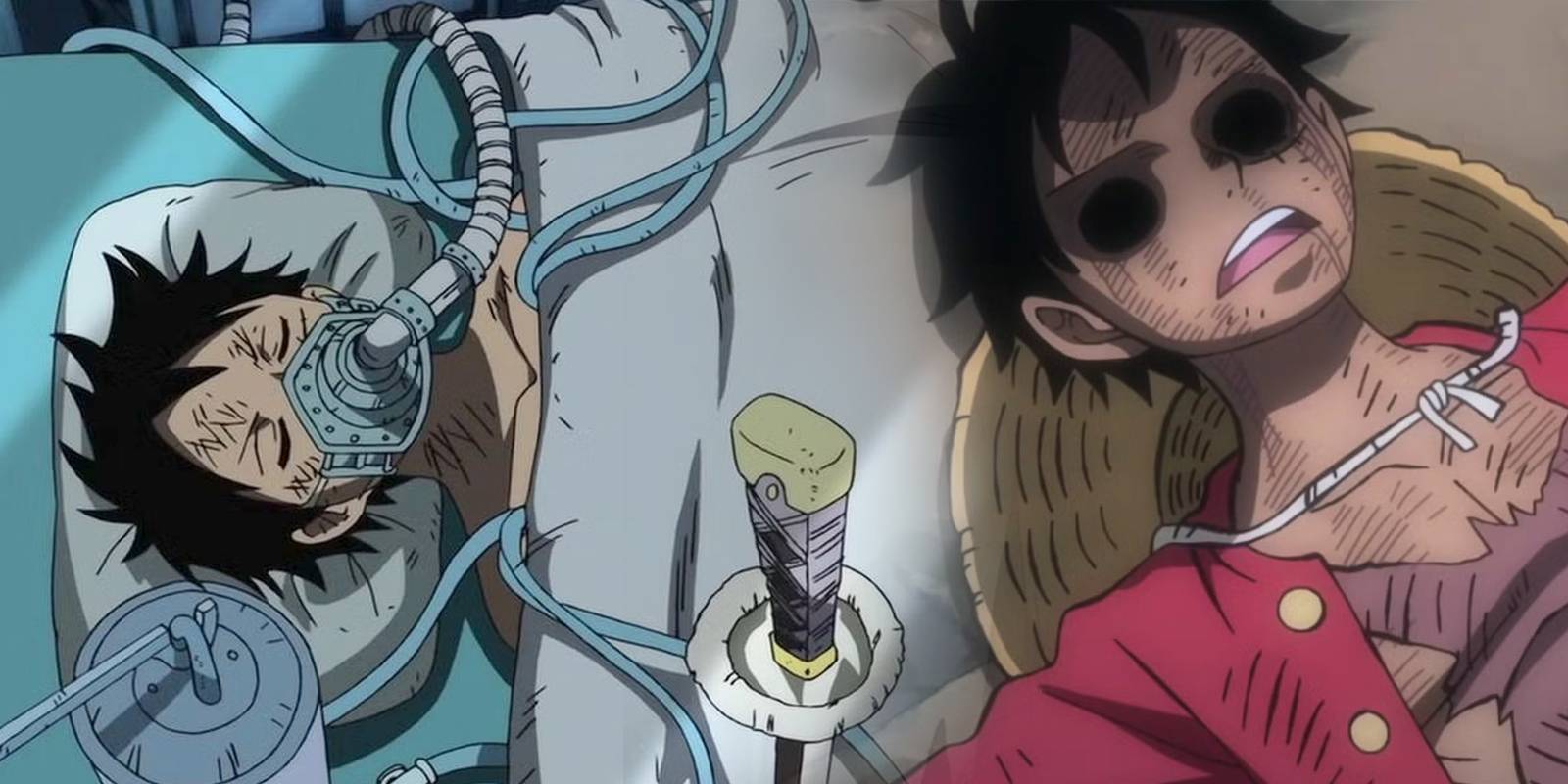 These Two One Piece Character's Friendship Is Explained With One Small ...
