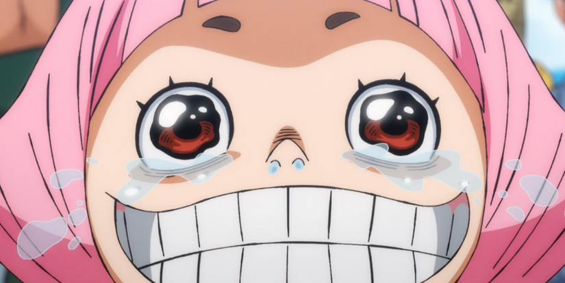 One Piece's Roronoa Zoro's Family Tree, Explained