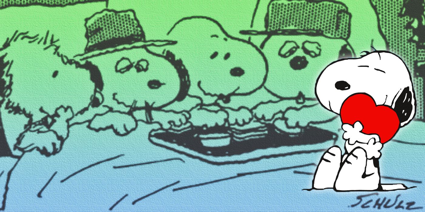 15 Best Peanuts Comic Strips Featuring Linus
